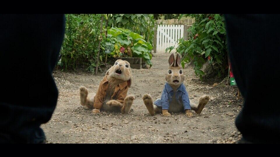 Kids Weekend: Pieter Konijn | Kinepolis Nederland